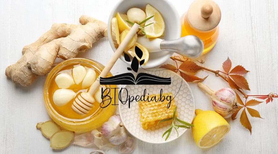 Билки които можете да ползвте за да си подобрите здравето на стомаха